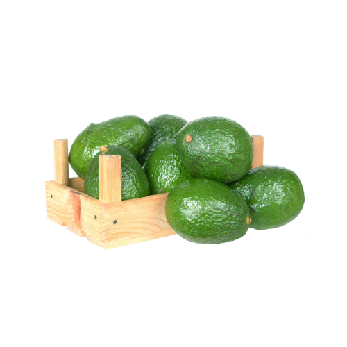 Hass Avocado - Tray (4KG's) | Spotless Fruits India