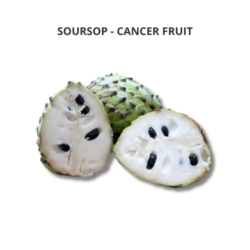 Soursop - Cancer Fruit | Spotless Fruits India